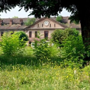 Polverone Cittadella - NoviOnline
