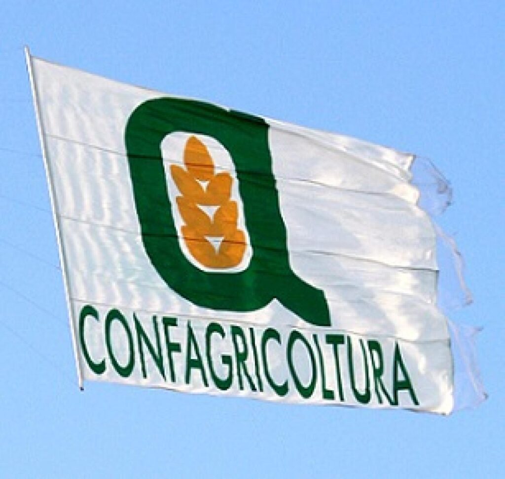 Testo Unico della Vite e del Vino: cosa cambia, cosa resta - NoviOnline