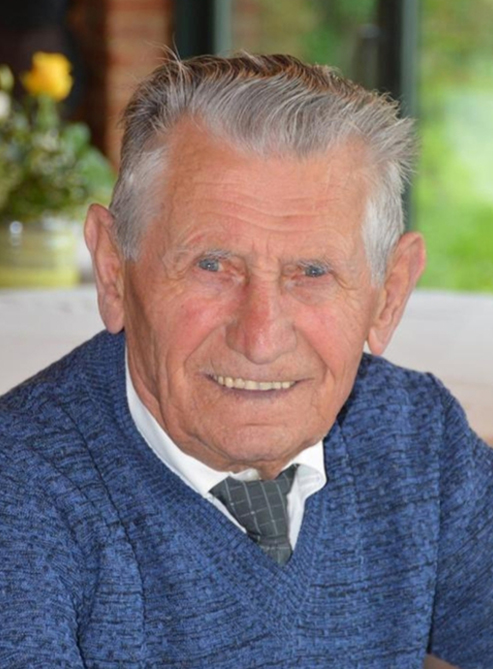 MARIO MORDENTI - NoviOnline