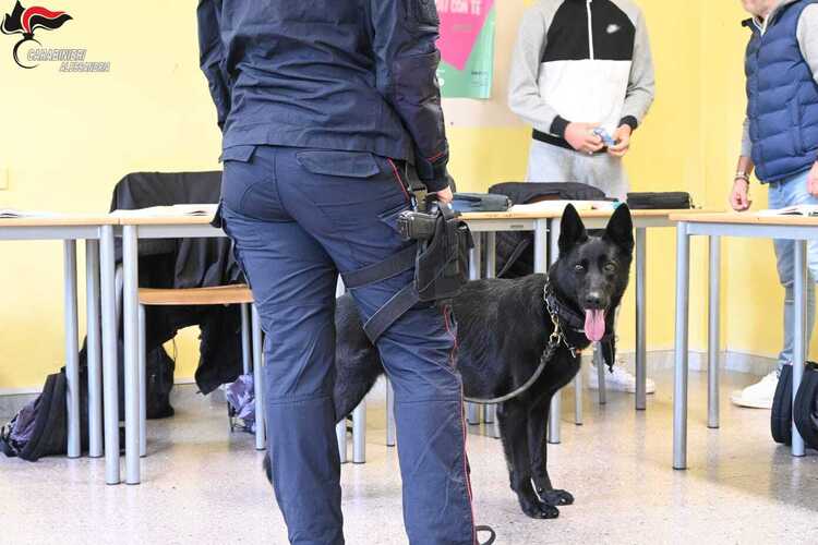 Novi, controlli antidroga a scuola: segnalato studente dell'Amaldi ...